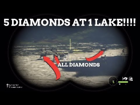 SHOOTING ALL MY STACKED DIAMOND RED DEER (still no great one...)|The ...
