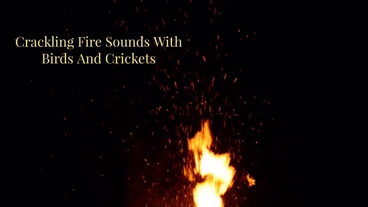 20 min Relaxing Crackling Fire Sounds With Birds And Crickets - YouTube