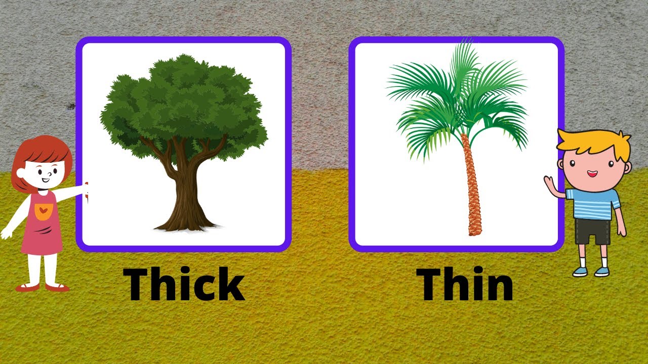 Thick Thin Concept Kids Learning | मोटा और पतला चीजों की पहचान | LKG ...