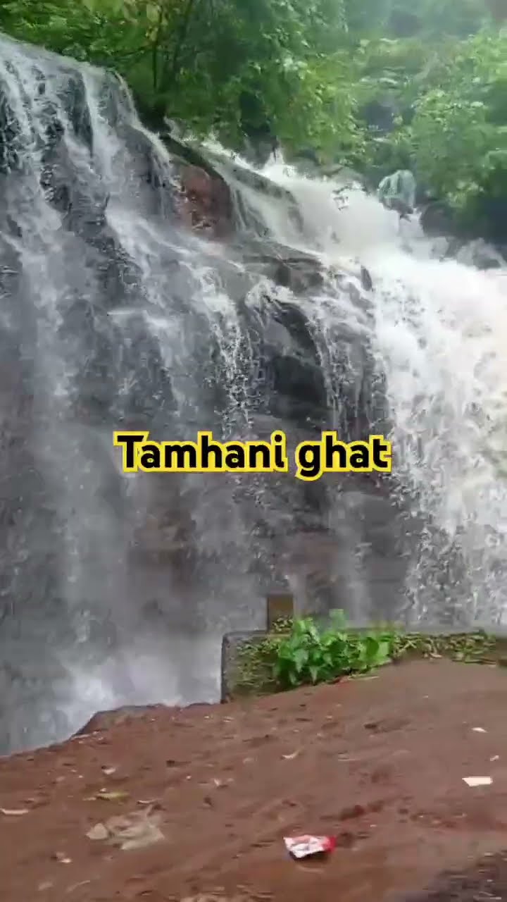#shortvideo #waterfall in tamhani ghat#nature #viralshorts - YouTube