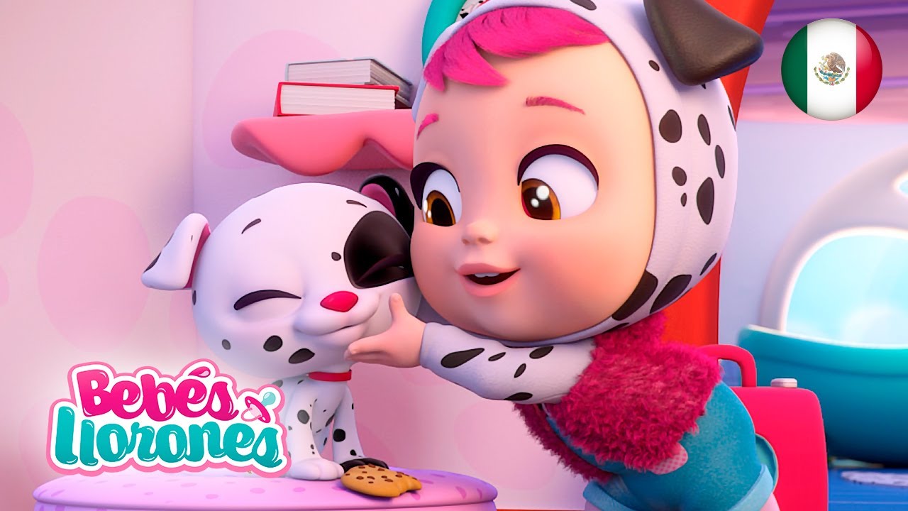 SPOT, te TOCA la VACUNA ANUAL!💉🐶 HAPPY FLOWERS 🌸🌻🌹 IDIOMA LATINO ⭐ ...