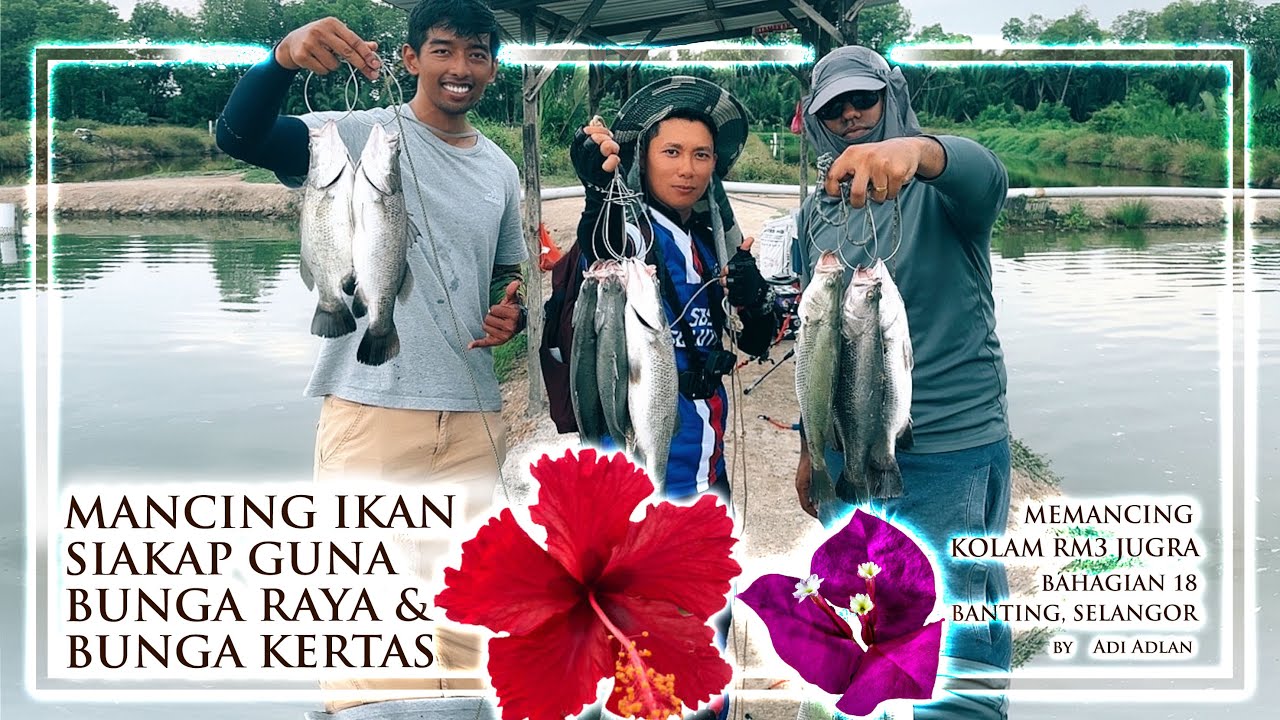 KOLAM JUGRA BGHN 18 - GUNA BUNGA RAYA (hibiscus) & BUNGA KERTAS ...