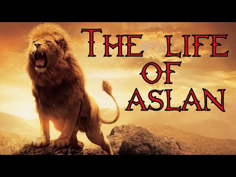 The Life Of Aslan (Narnia)