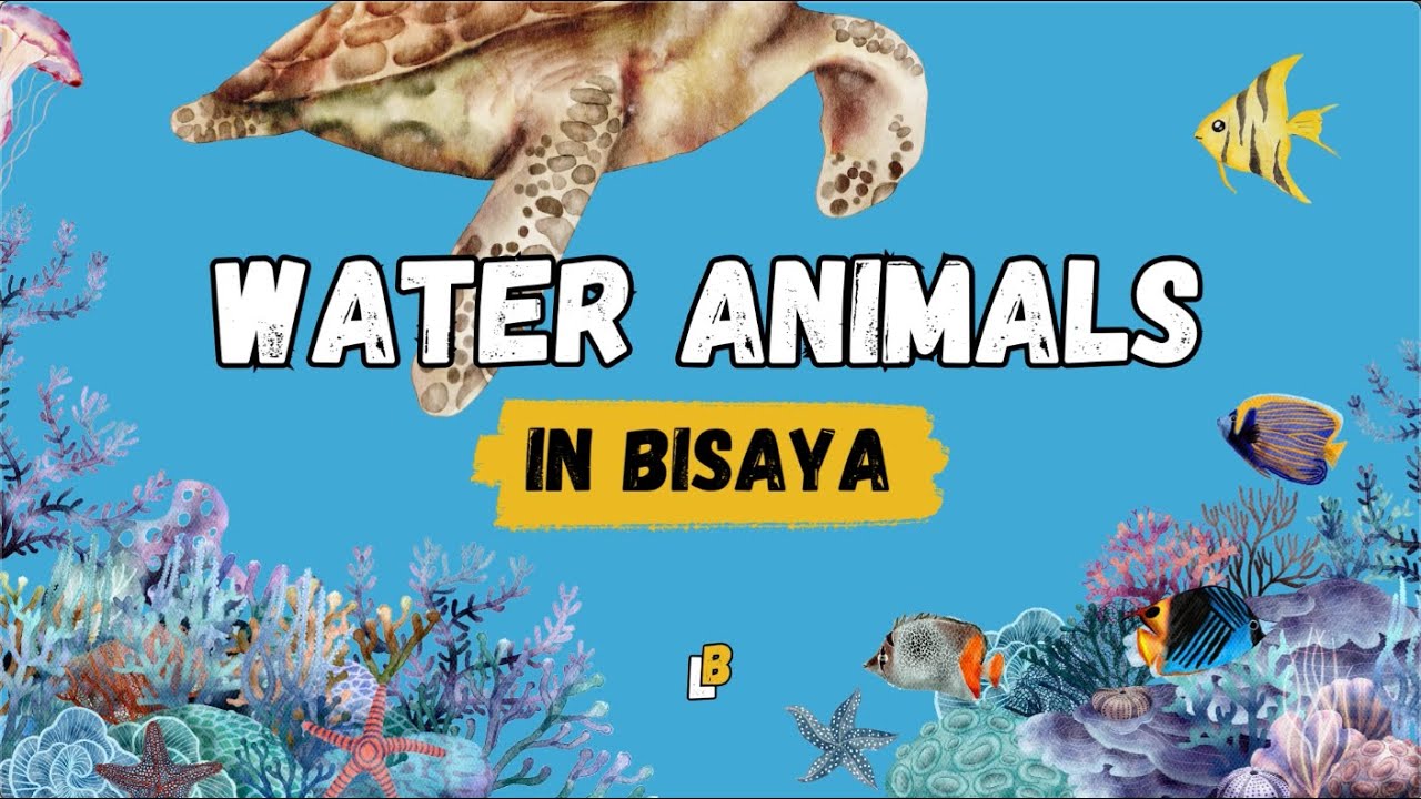 Water Animals in Bisaya | Learning Bisaya - YouTube