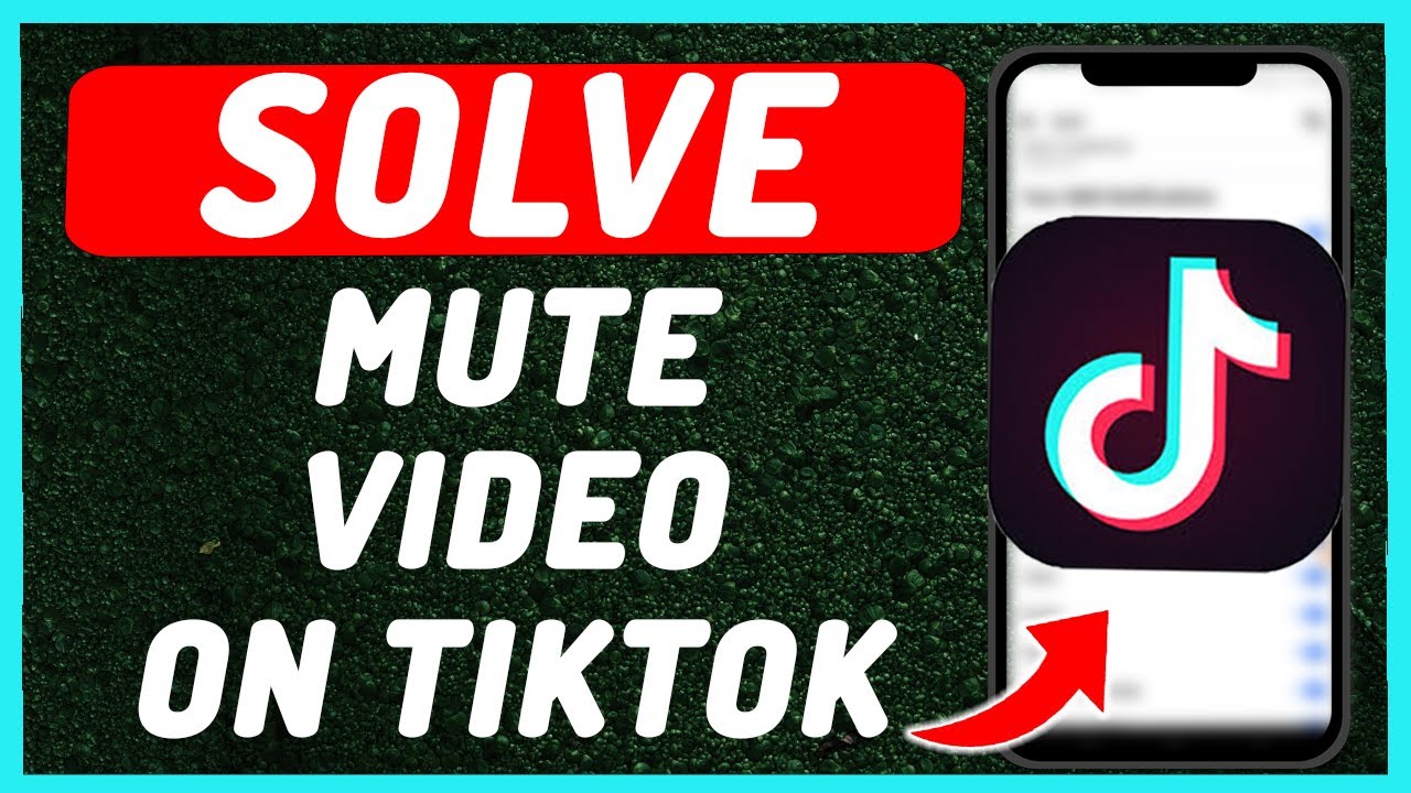How To Solve Mute video on Tiktok || How To Fix A Muted Video On Tiktok ...