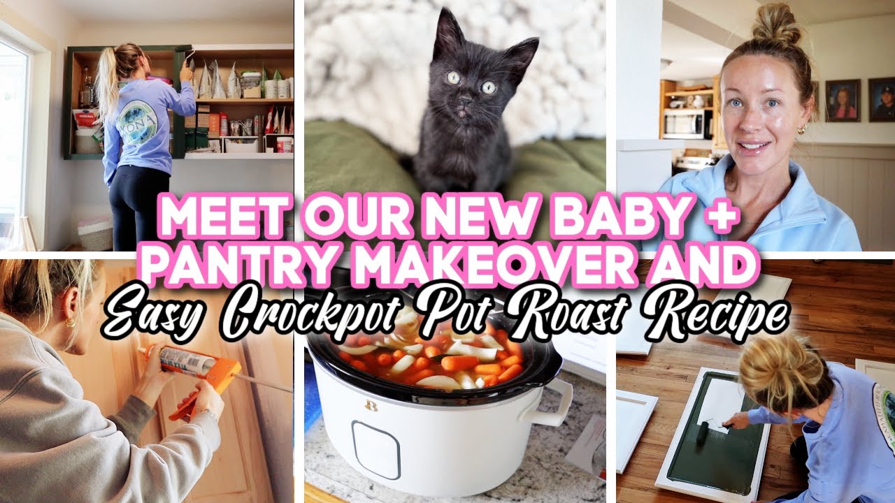 meet our new baby kitty + working on the pantry makeover + EASY pot ...