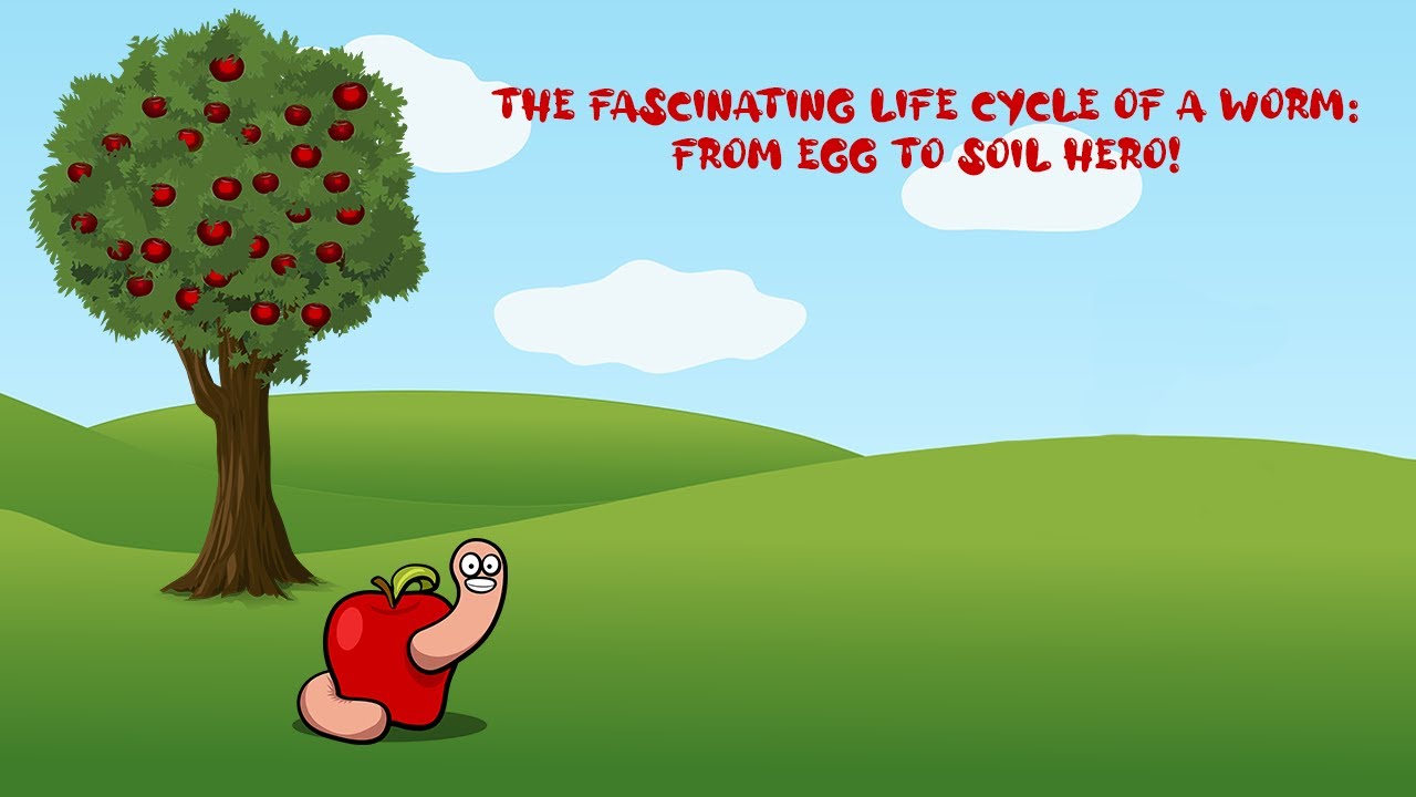 The Fascinating Life Cycle of a Worm: From Egg to Soil Hero! - YouTube