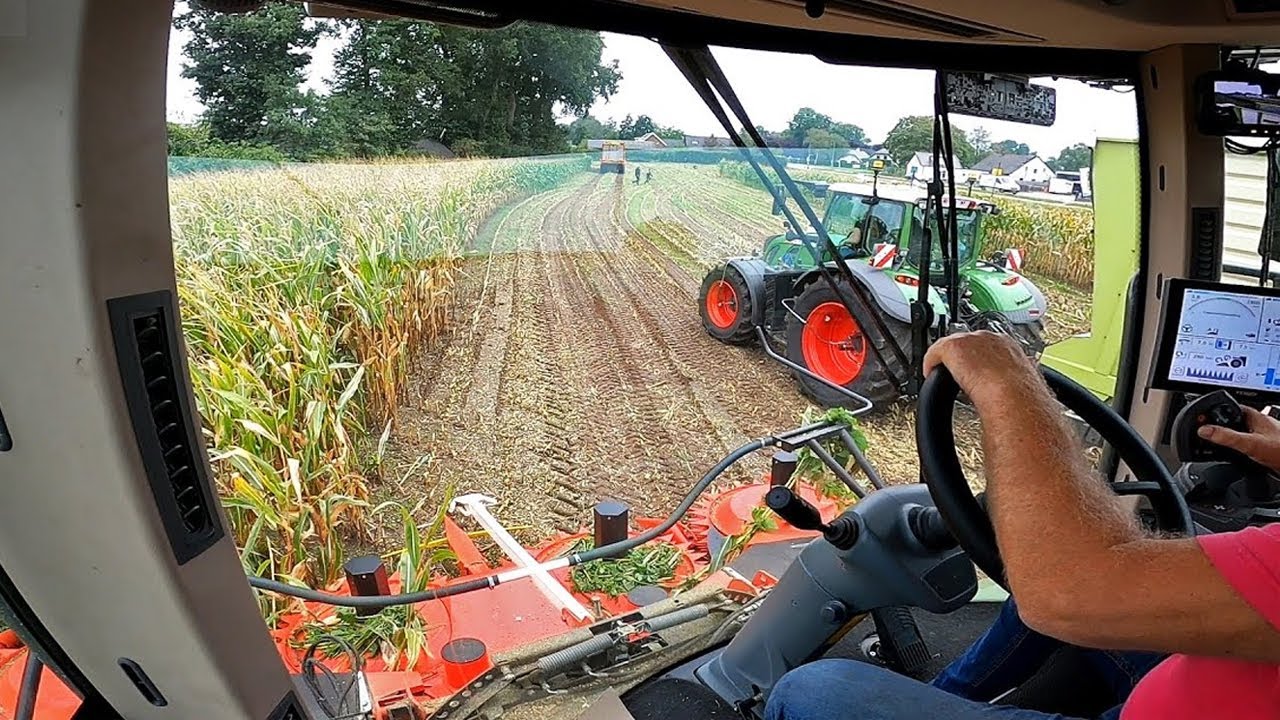 Cab View | Mais Silage | Fendt Katana | BMWW Agriservice | 2020 - YouTube