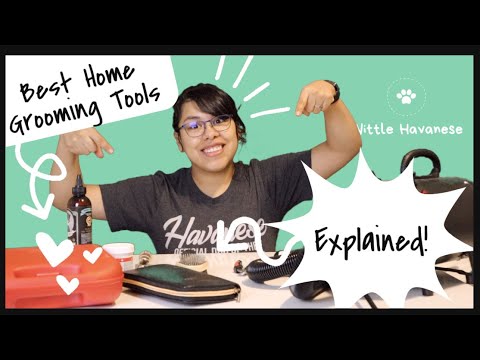 Grooming Tools We Use And What They Are For | Wittle Havanese