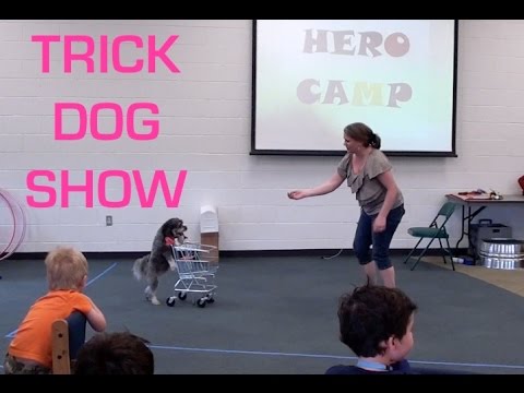 Cute Dog Trick Show at the Library - YouTube