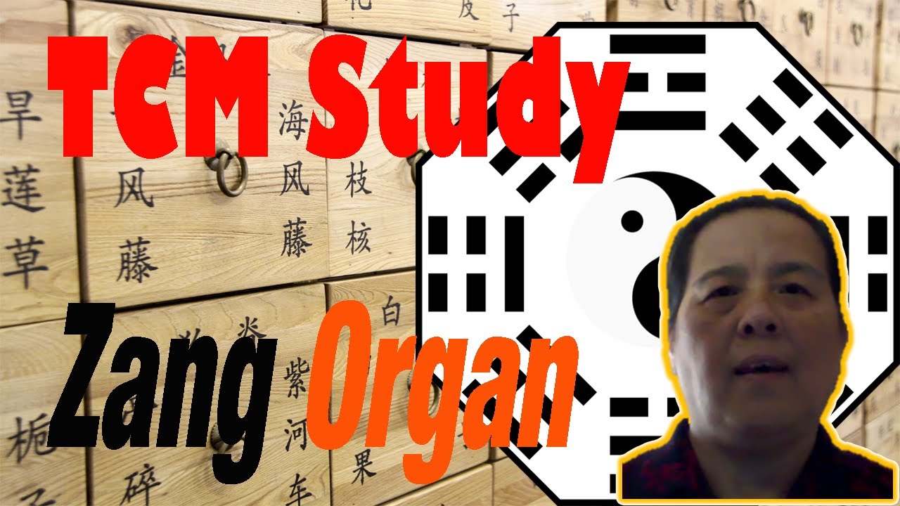 TCM Function of Zang Fu Part 1 - Zang organ - YouTube