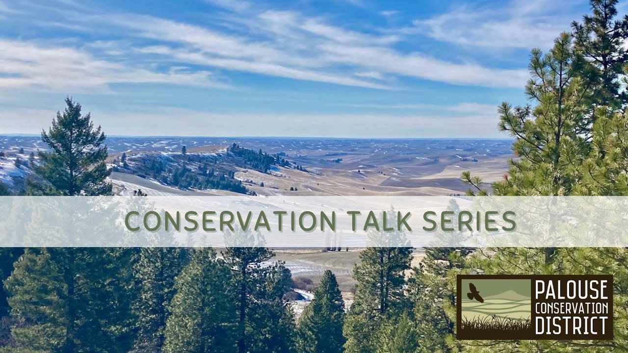Conservation Talk Series | Riparian Conservation: Why and Where It ...
