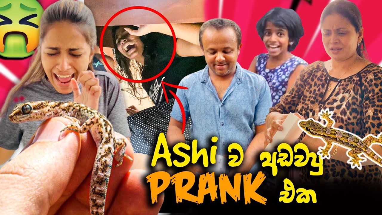 Lizard Prank | හූනෙක් හින්දා උන දෙයක් 🤮😂 | Bithum & Ashii - YouTube