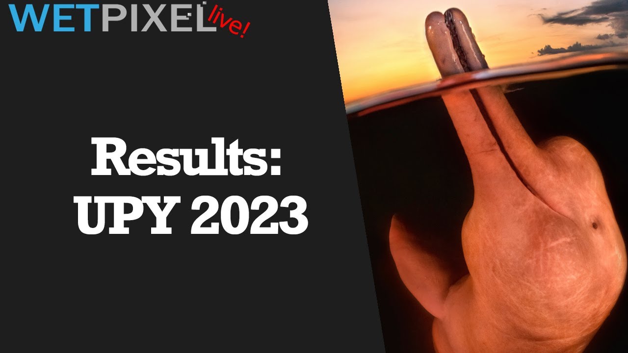A Review of the Winning Images from UPY 2023 - YouTube