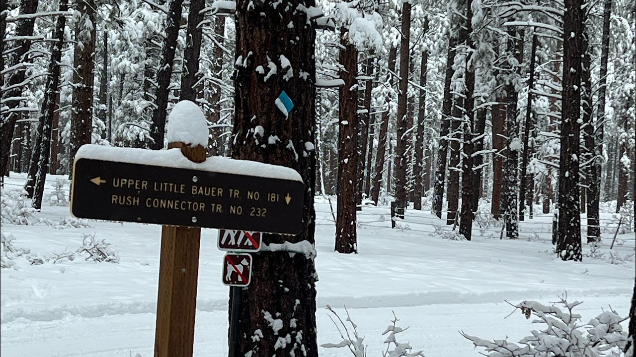 Cross Country Skiing in SW Colorado - YouTube