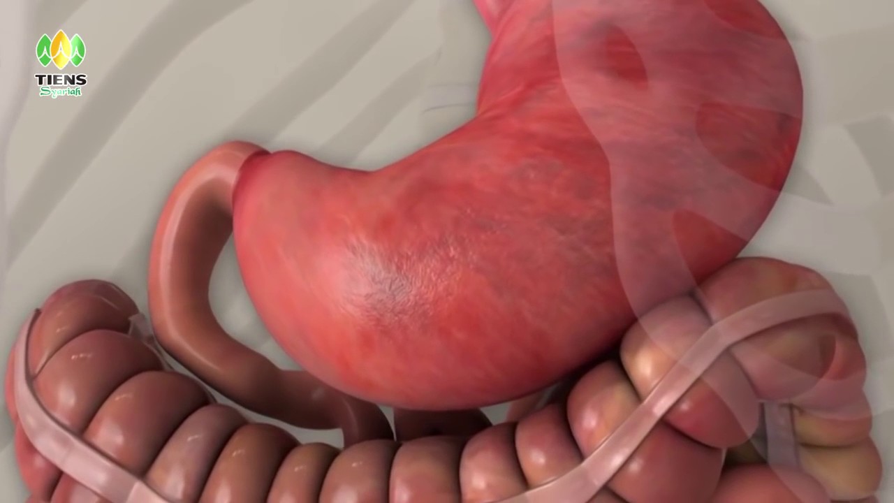 TIENS Product Demo Double Cellulose - YouTube