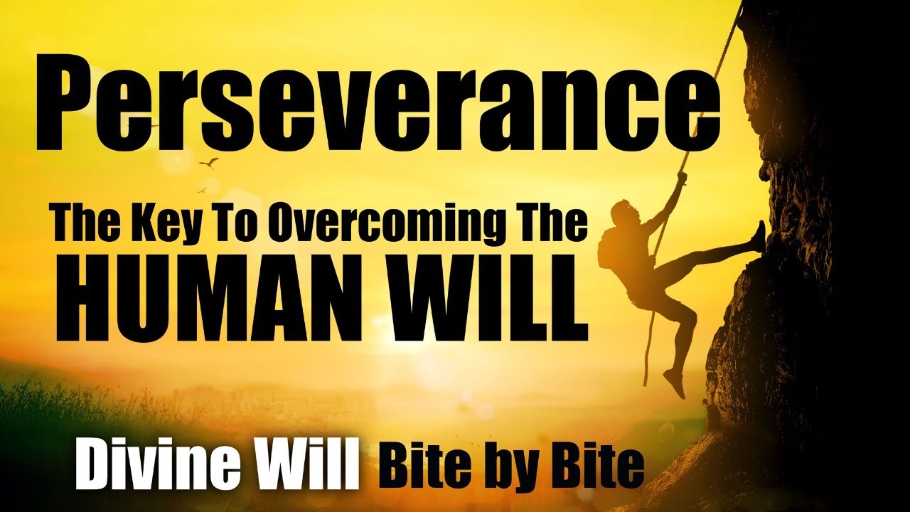 Divine Will Bite by Bite (Q&A)-Perseverance: Key to Overcoming Human Will- Larry- Luisa ...