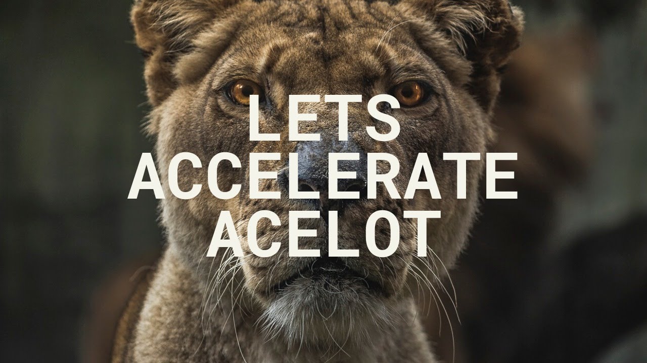 LETS ACCELERATE! - YouTube