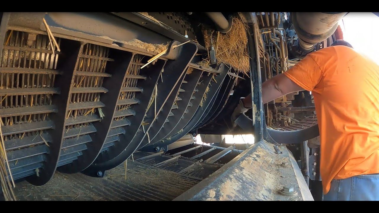 Bin Site and Combine Harvest Prep - YouTube