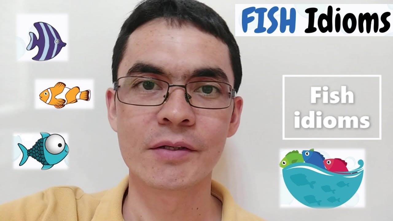 FISH IDIOMS - idioms that are made with the word ''FISH''' - YouTube