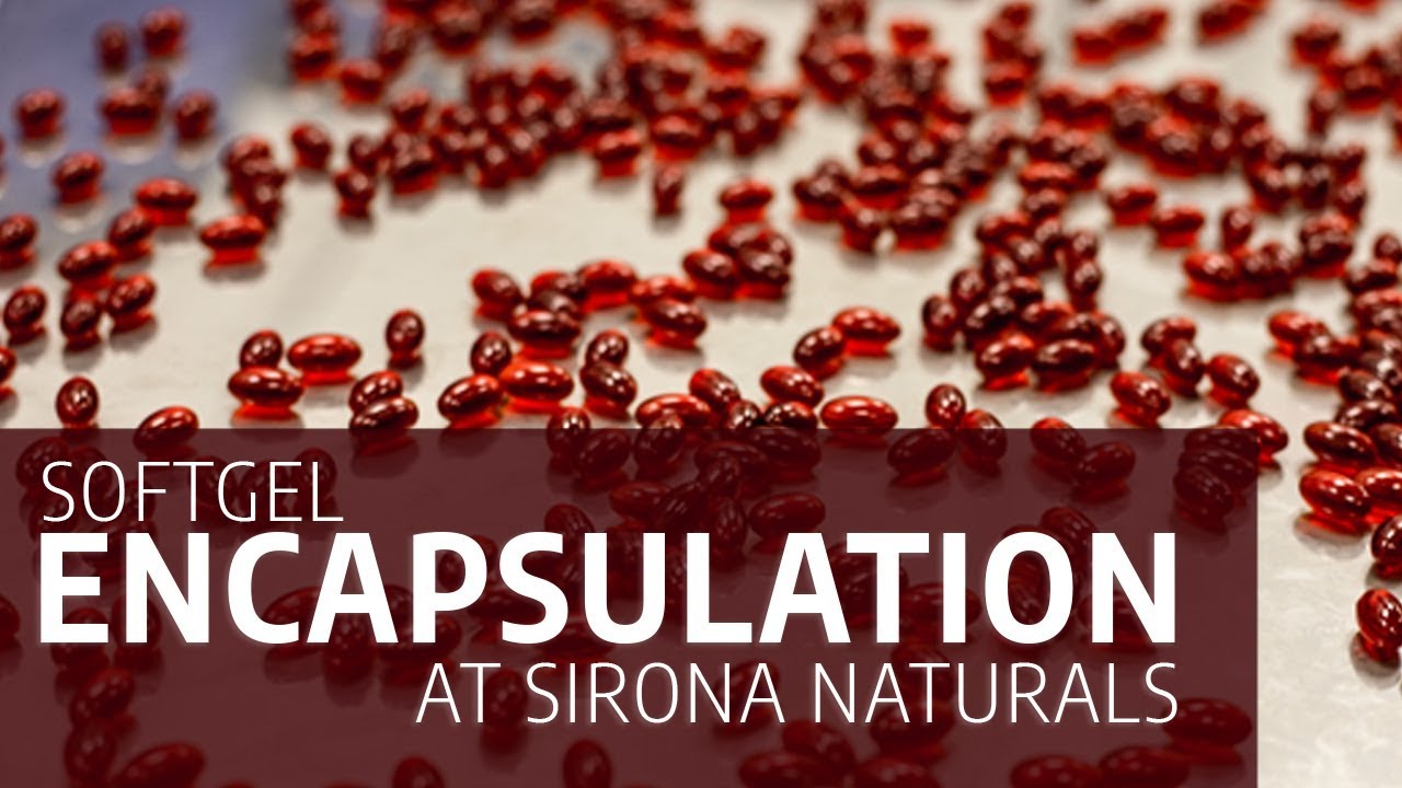 Soft Gel Encapsulation at Sirona Naturals' Facility - YouTube