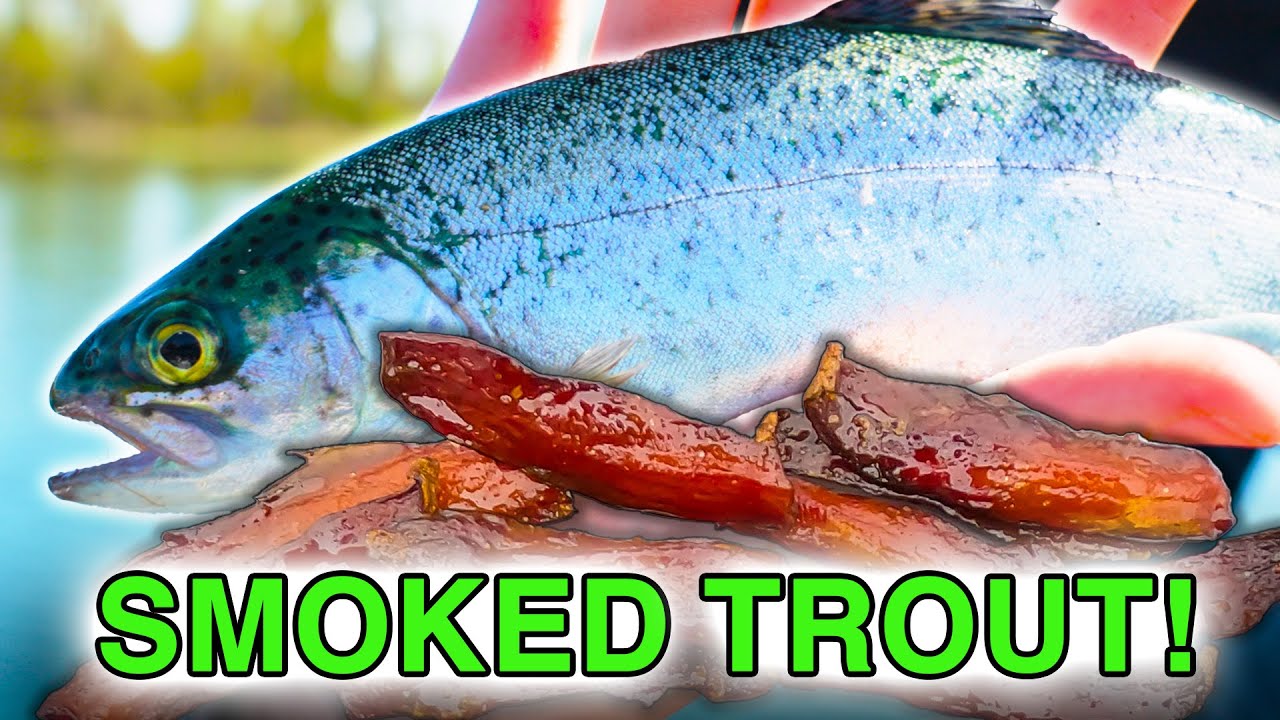 The TROUT Are Biting EVERYTHING! (Smoked Trout Catch N Cook) - YouTube