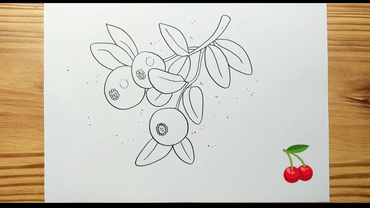 How to draw A CRANBERRIES - YouTube