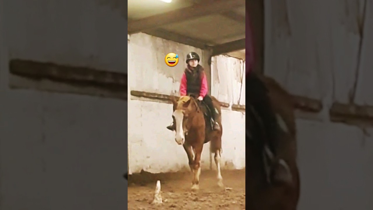 When Nature Can't Wait: A Riding Lesson Moment 🤣| Giddy up&go! #horses ...