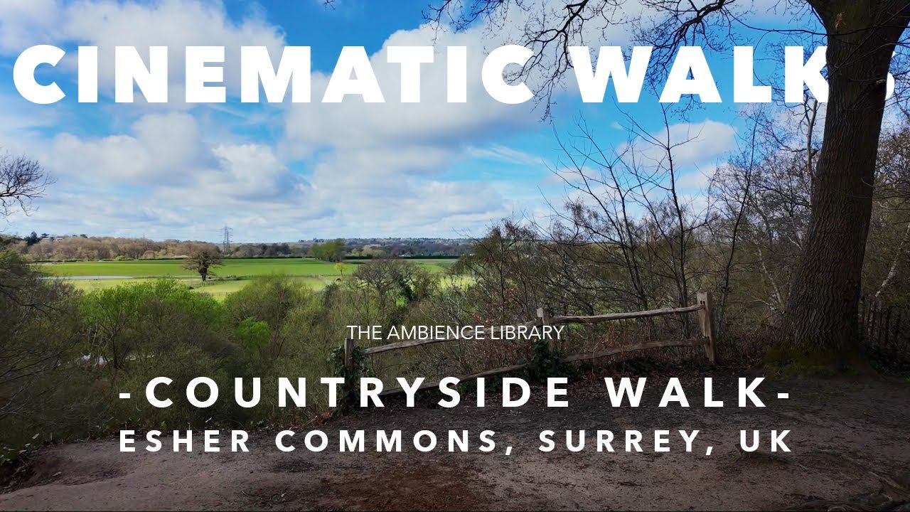 Esher Commons, Surrey Walk - // 4K Walking Tour - YouTube