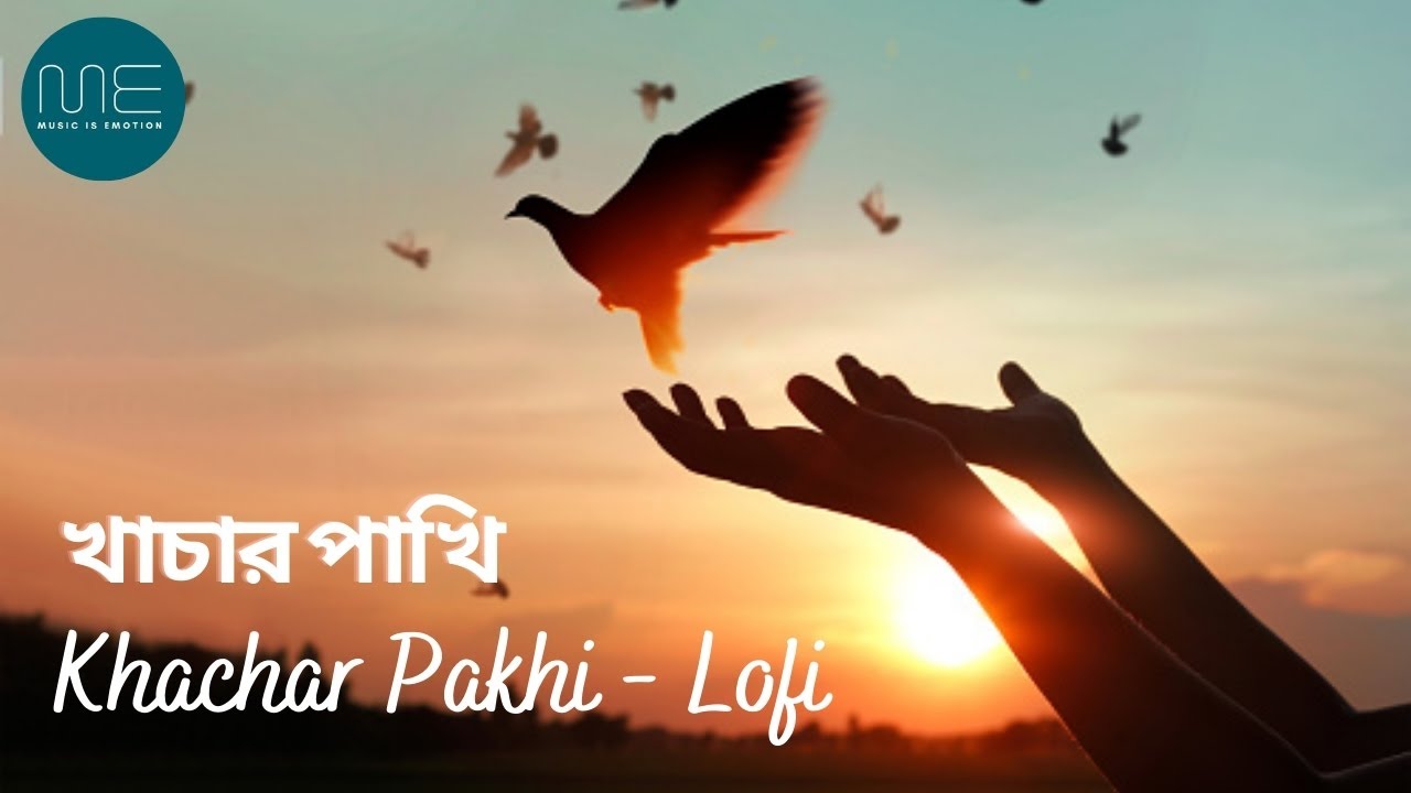Khachar Pakhi Lofi 🎶 Samz Vai Lofi + Slowed + Reverb Bangla Lofi Song 🎶 ...