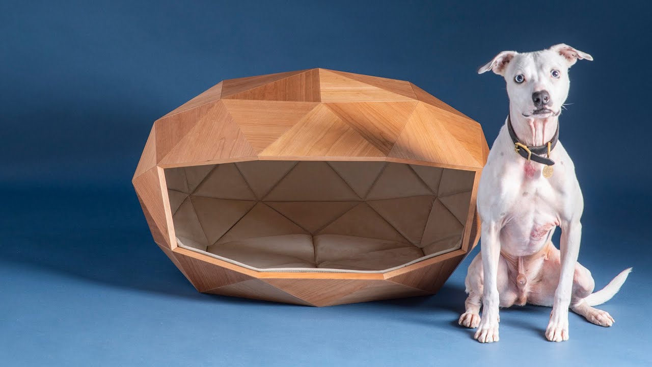 Dome-Home dog kennel designed for Goodwood by Foster + Partners - YouTube