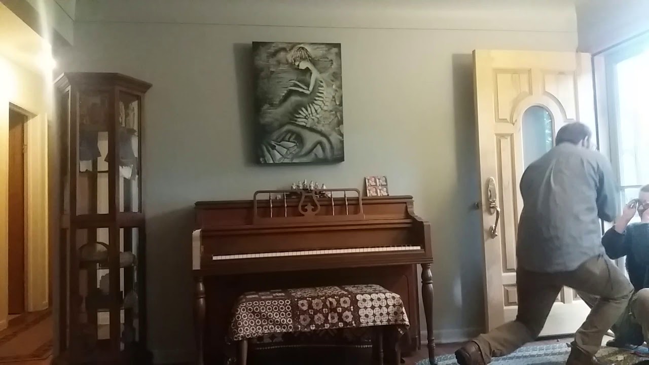 Surprise Cat Proposal - YouTube