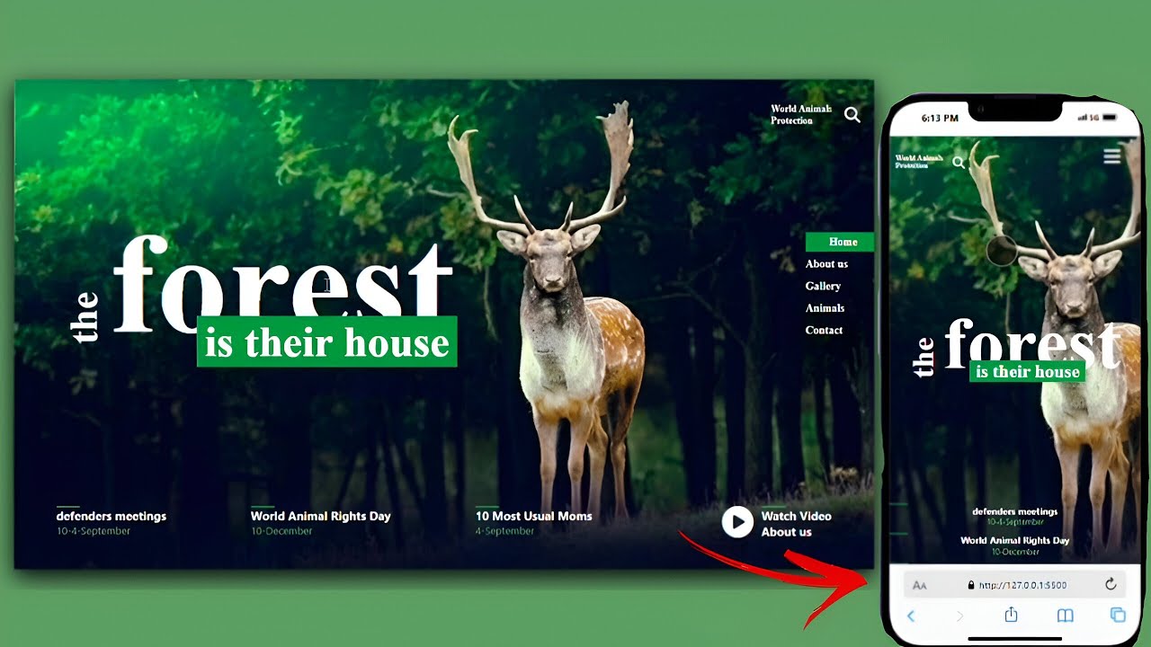 How to Make a Responsive Website using HTML & CSS | Forest Website Design Tutorial 2025 - YouTube