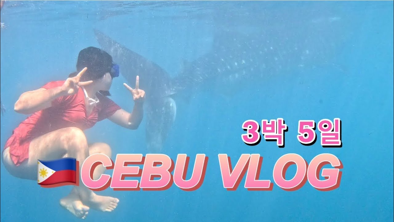 Vlog 고래상어 보러간 🇵🇭세부여행 플랜테이션베이 리조트 시라오가든 And 레아신전 아얄라몰 레드크랩 And 엉클잭