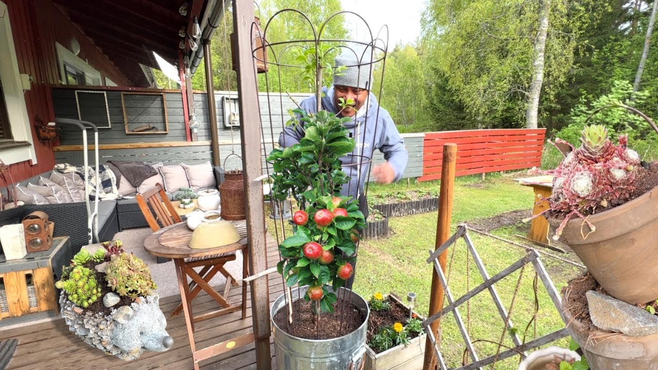 MAY PUNO NG MANSANAS NA PO AKO!!! BAWAS HARBAT AT PITIK SA PARK 😂 ...