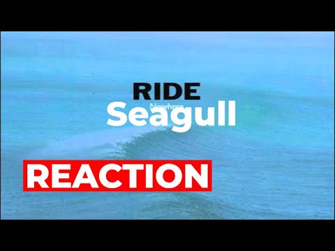 Ride - Seagull REACTION - YouTube