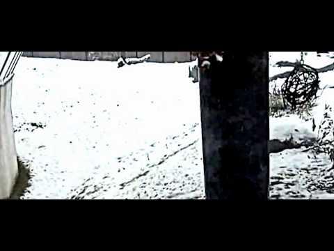 "Giant Panda" Tumbles in The Snow - YouTube