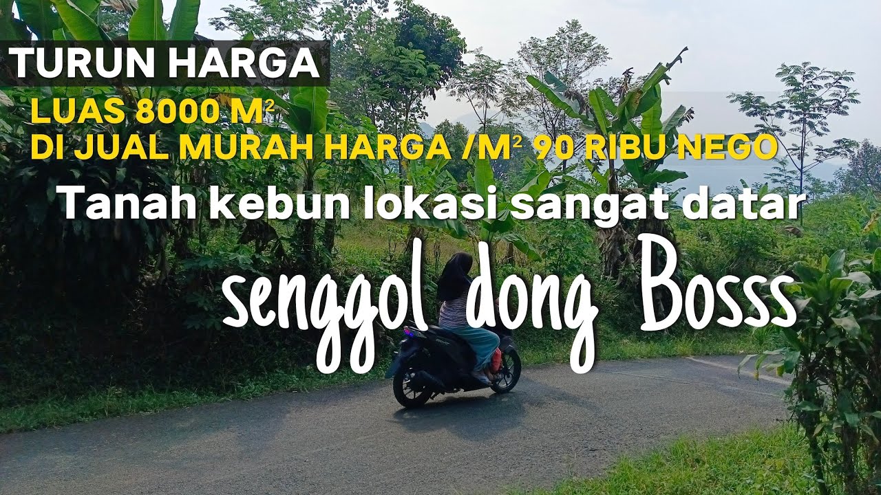 Turun Harga Murah || Tanah Datar pinggir jalan Luas 8.000 m² Harga /m² 90 ribu || no HP ...