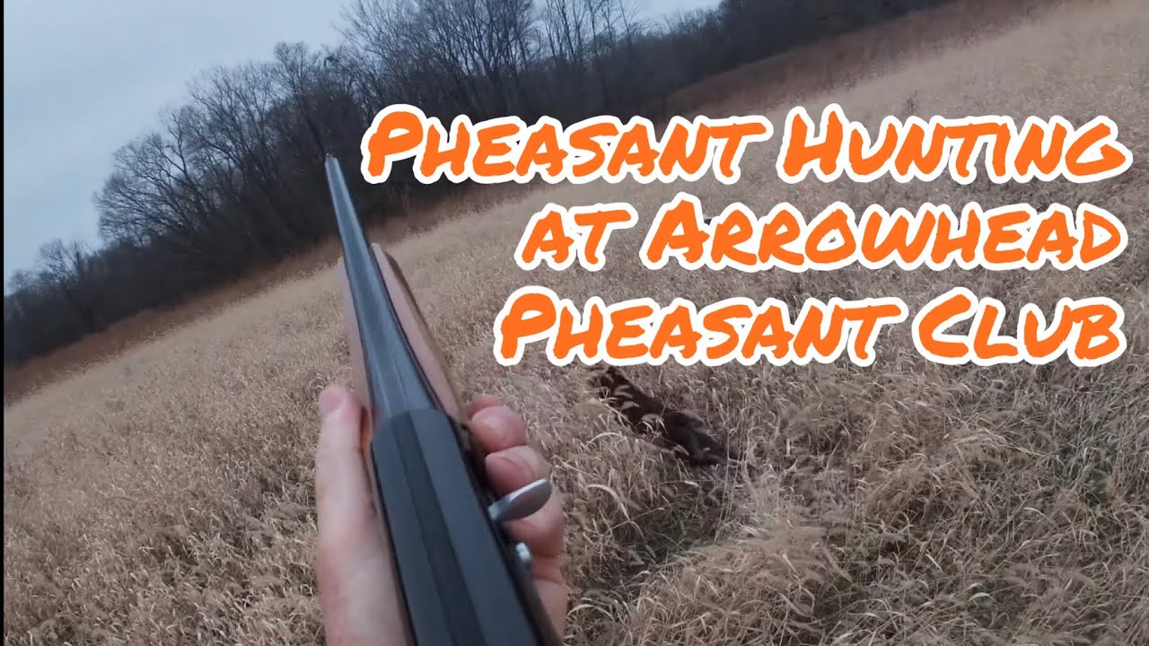 Bird Hunting at Arrowhead Pheasant Club - YouTube