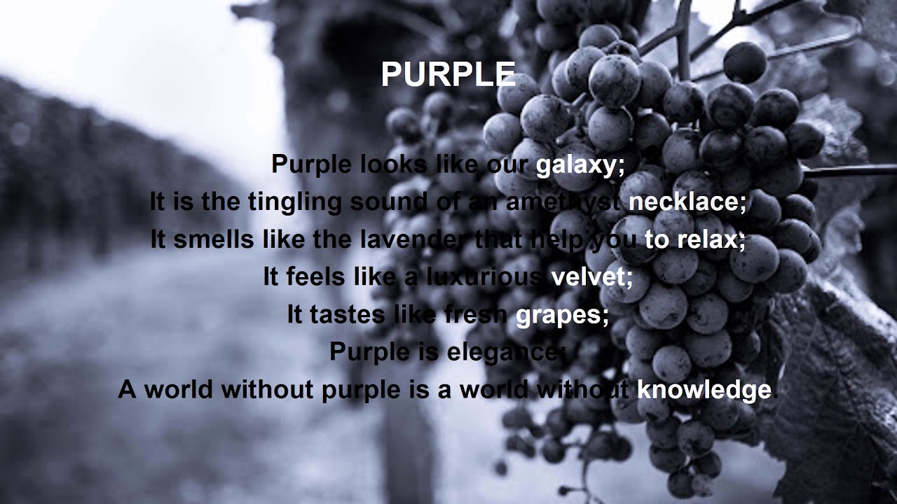 The Black Book of Colours - YouTube