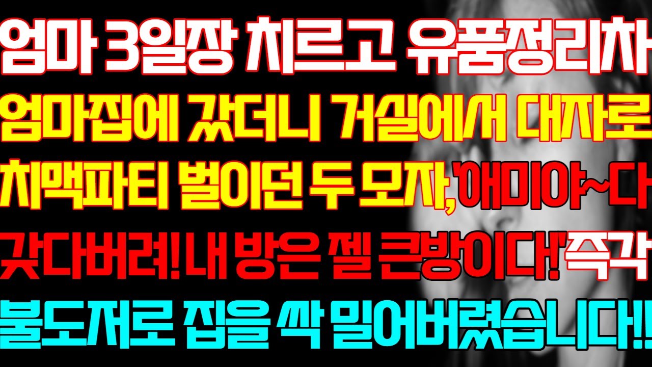 반전 실화사연 엄마 3일장 치르고 유품정리차 엄마집에 갔더니 거실에서 대자로 치맥파티 벌이던 두 모자 애미야 내 방은 젤 큰방이다 즉각 불도저로 집을 싹 밀어버렸습니다
