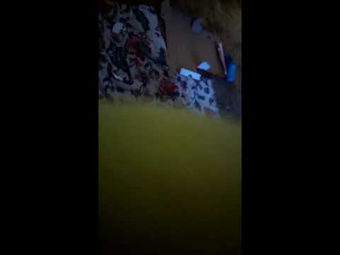 Chica  breaks a Camera