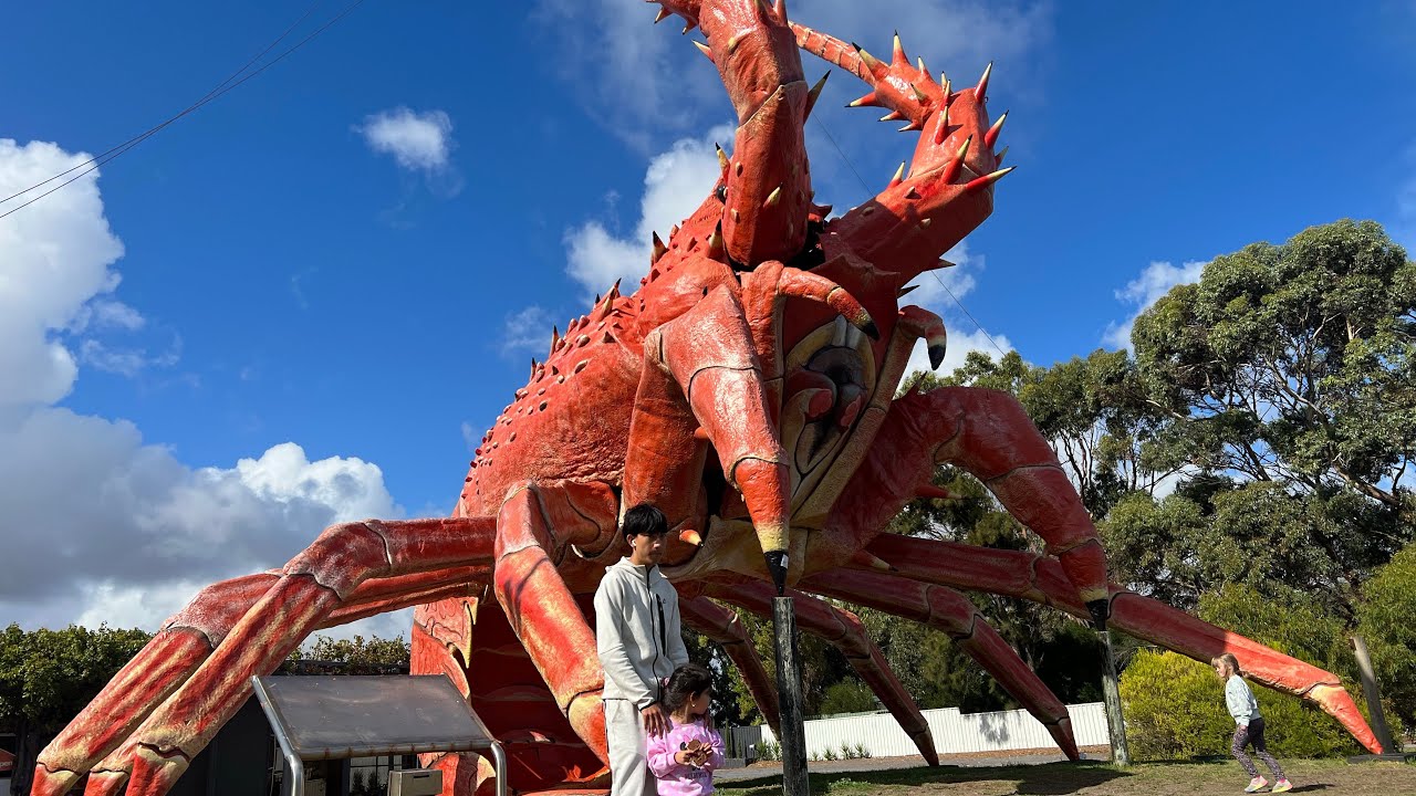 Tantanoola Caves Mount Gambier - YouTube
