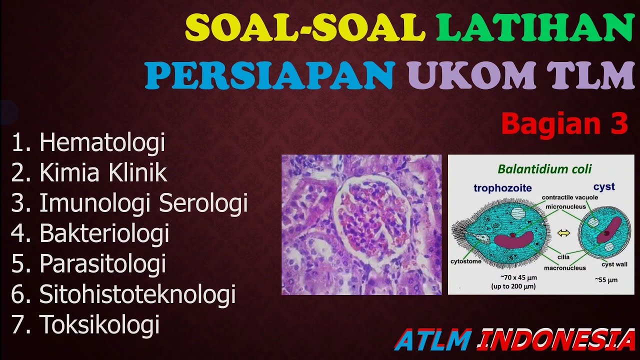 Soal-Soal Latihan Persiapan UKOM TLM 2024 Analis Kesehatan (Bagian 3 ...