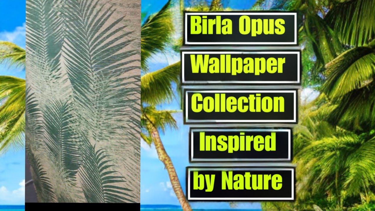 Birla Opus paints wallpaper Book look and Feel - YouTube