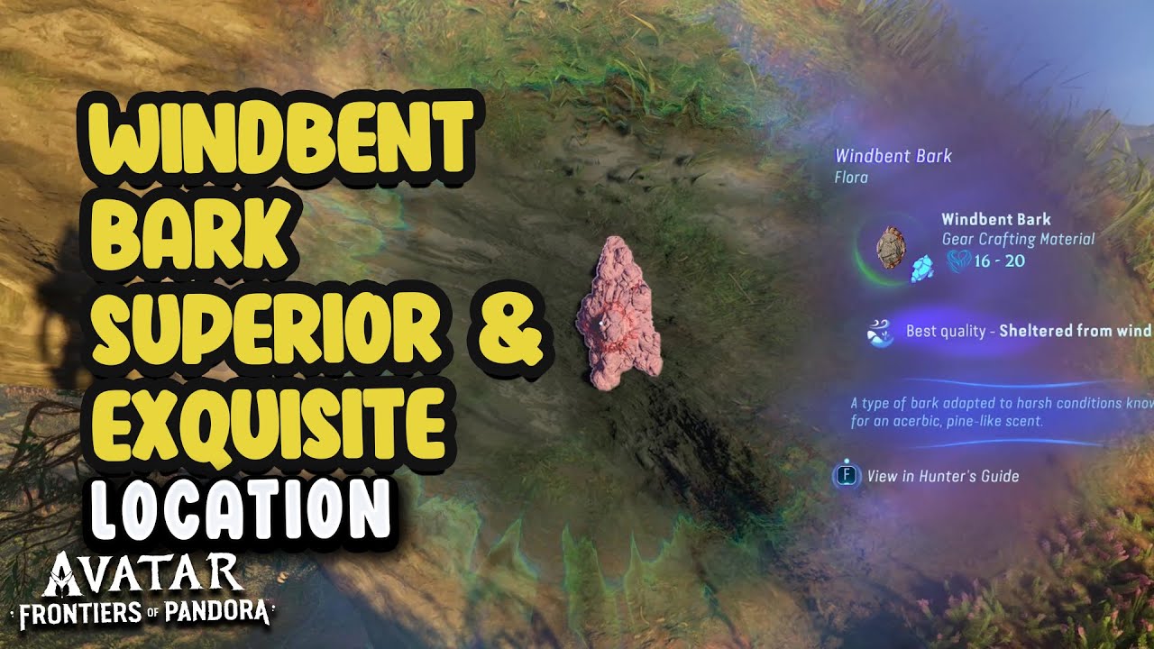 Winbent Bark Superior & Exquisite location | Avatar Froniters Of ...