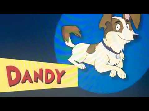 Dandy the Dog - YouTube