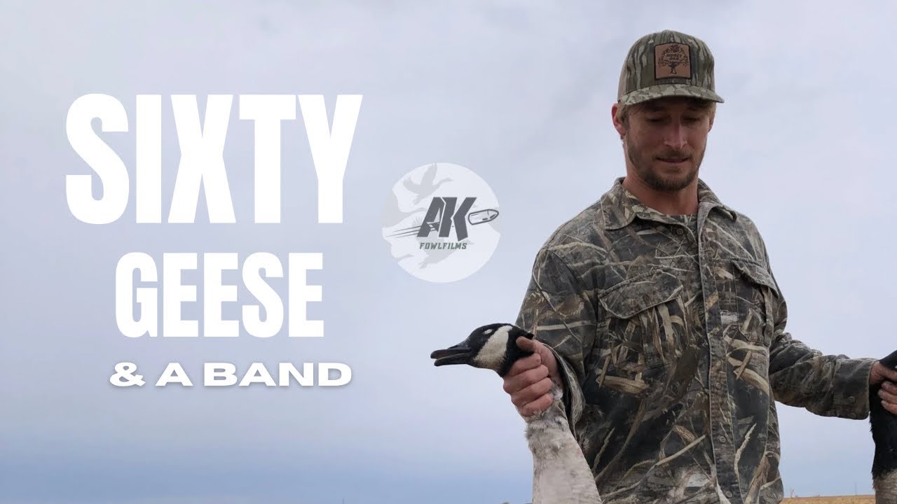 WILD South Dakota Goose Hunting (with a BAND) - YouTube