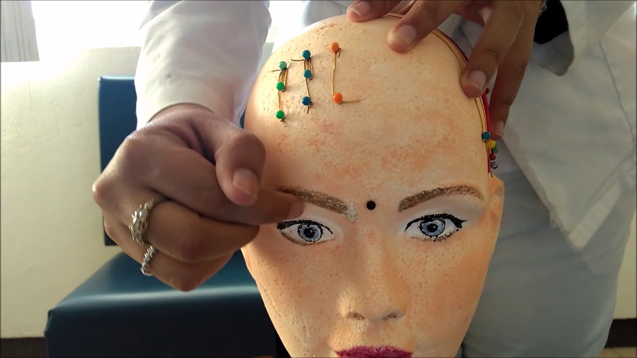Craneo acupuntura - YouTube