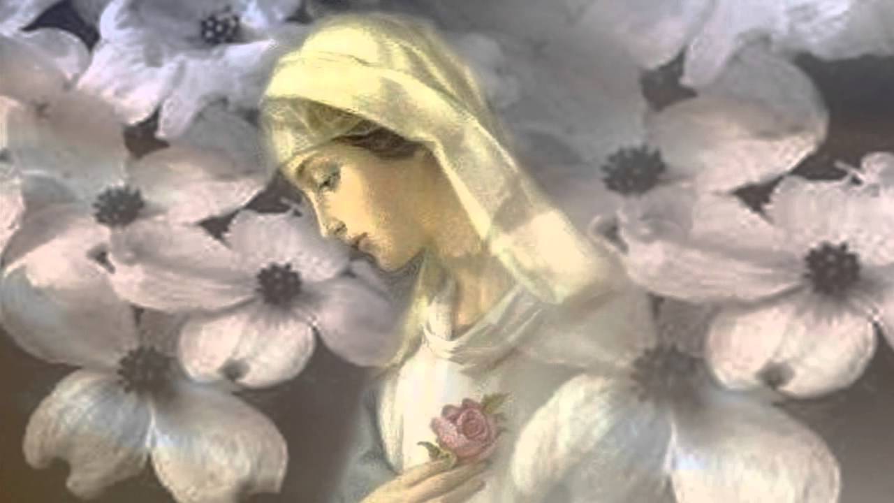 Ave Maria - Liên Bình Định- 2014 - YouTube